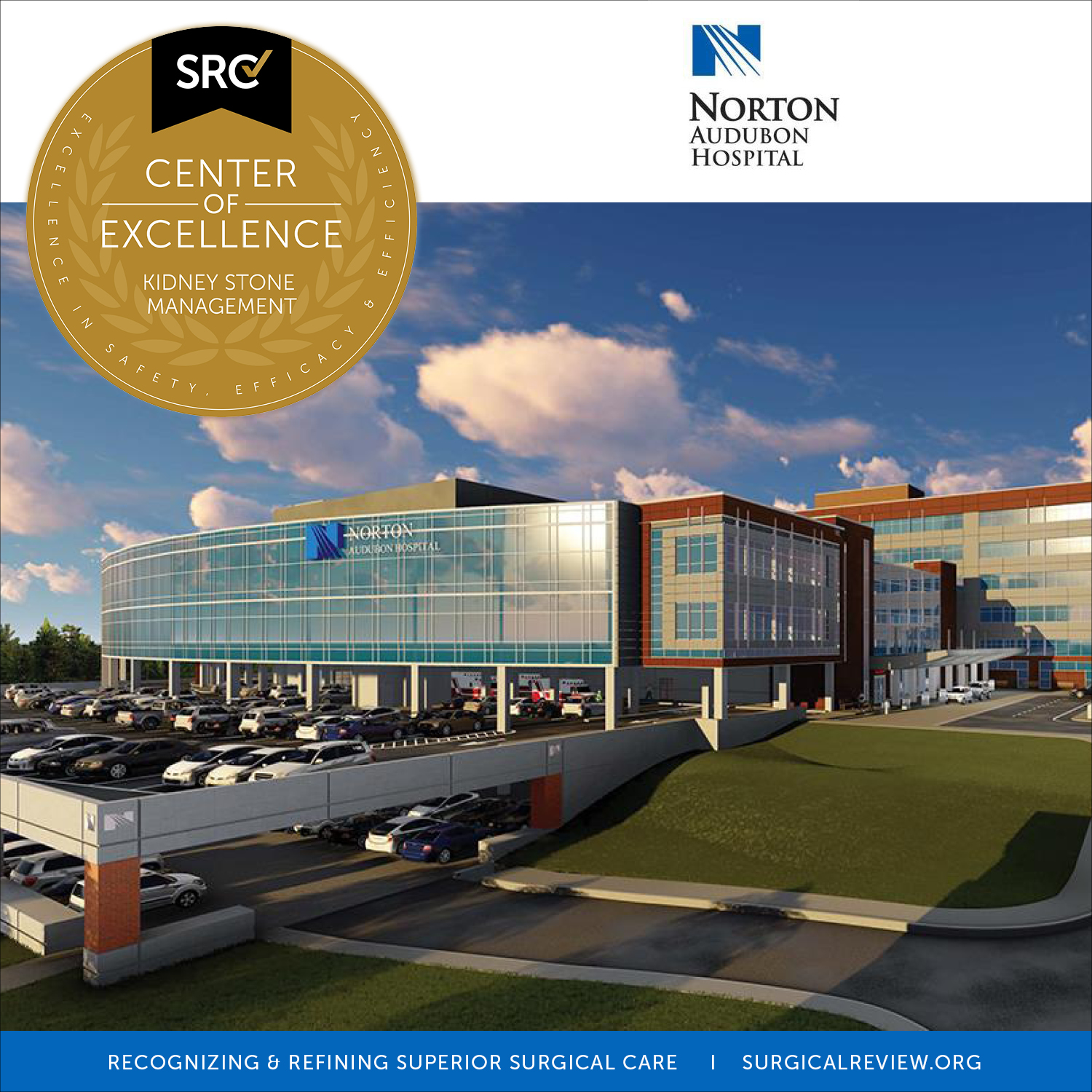SRC - Norton Healthcare - Network of Excellence in Kidney Stone Management